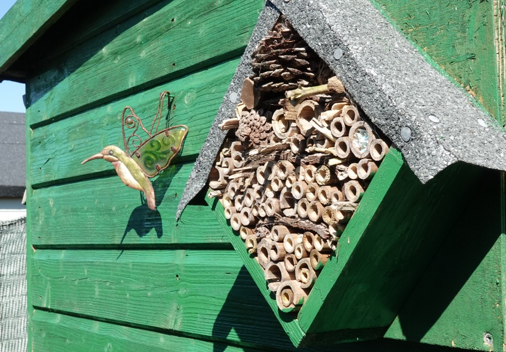 Brilliant Bug Boxes - ON THE VERGE